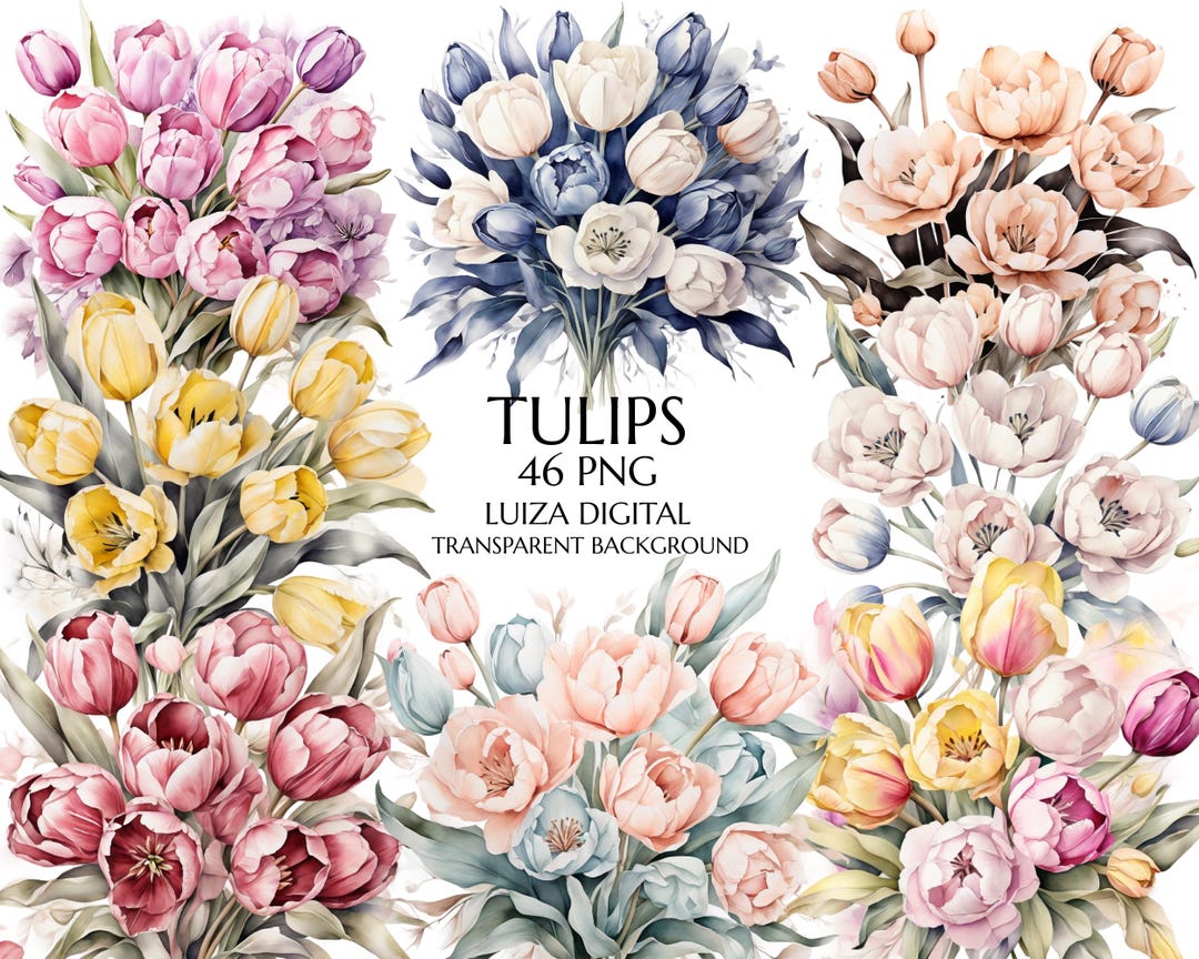 Watercolor Tulips Clipart, Tulips Clipart, Spring Clipart, Spring ...