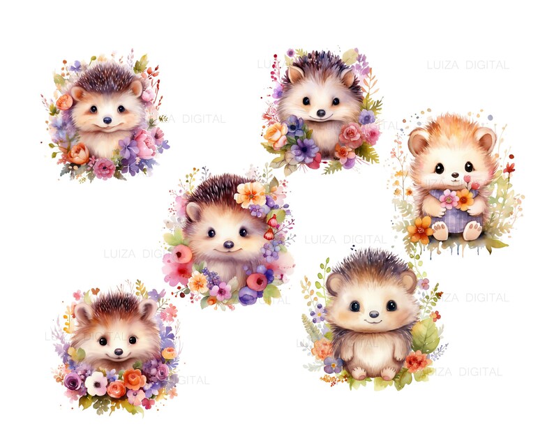Hedgehog Clipart Floral Hedgehog Clipart Nursery Spring - Etsy