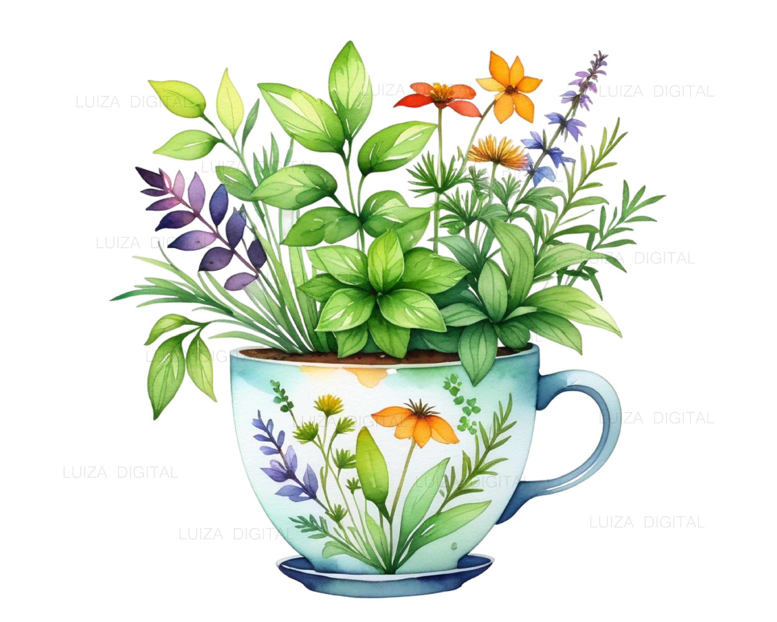 Watercolor Bottle and Herbs Clipart, Herbal Clipart, Herbs Clip Art ...
