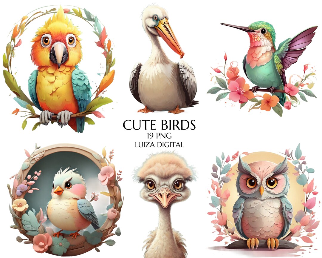 Birds Clipart, Toucsn Cliprt, Hummingbird Clipart, Pastel Owl PNG, Cute ...