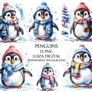 Christmas Penguin Clipart Bundle, Digital Download, Commercial Use ...