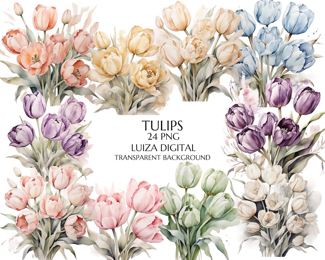 Watercolor Tulips Clipart, Tulips Clipart, Spring Clipart, Spring ...