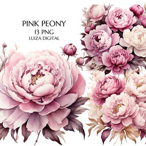 Peony Watercolor Clipart, Peony Floral Clipart, Pink Peony Clipart ...