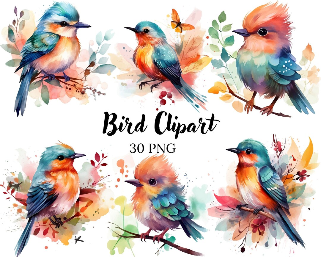 Watercolor Birds Clipart, Birds PNG, Card Making, Watercolor Clipart ...