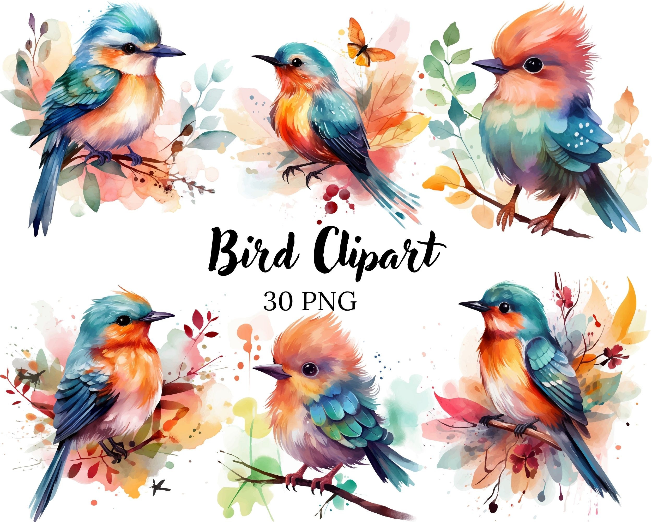 Watercolor Birds Clipart, Birds PNG, Card Making, Watercolor Clipart ...