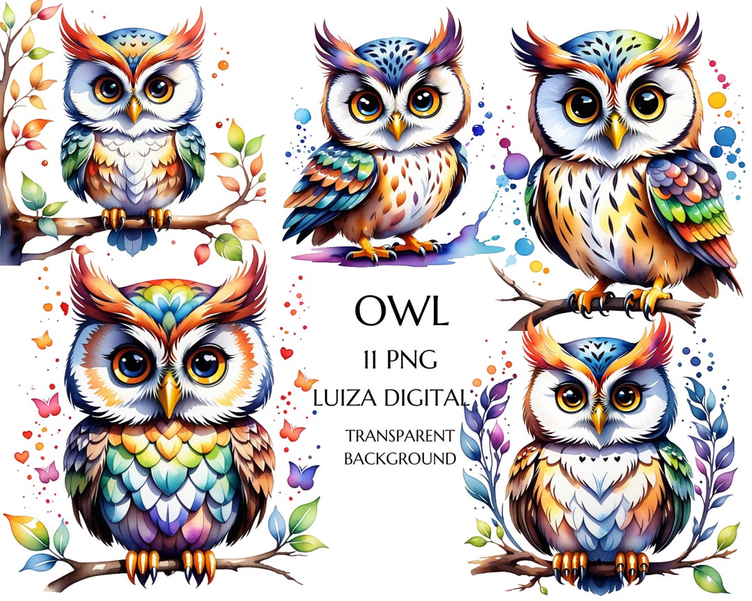 Colorful Cute Owl Clipart, Bundle Vibrant Colors, Watercolor Floral Owl ...