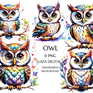 Colorful Cute Owl Clipart, Bundle Vibrant Colors, Watercolor Floral Owl ...