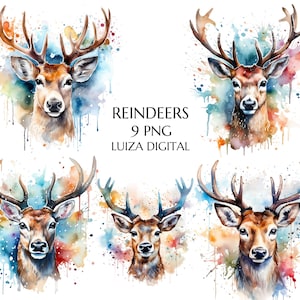Christmas Reindeer Clipart – Watercolor Woodland Animal Pngs for ...