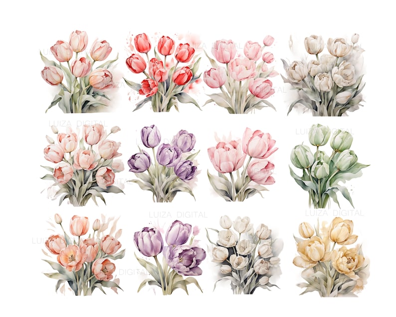 Watercolor Tulips Clipart, Tulips Clipart, Spring Clipart, Spring ...