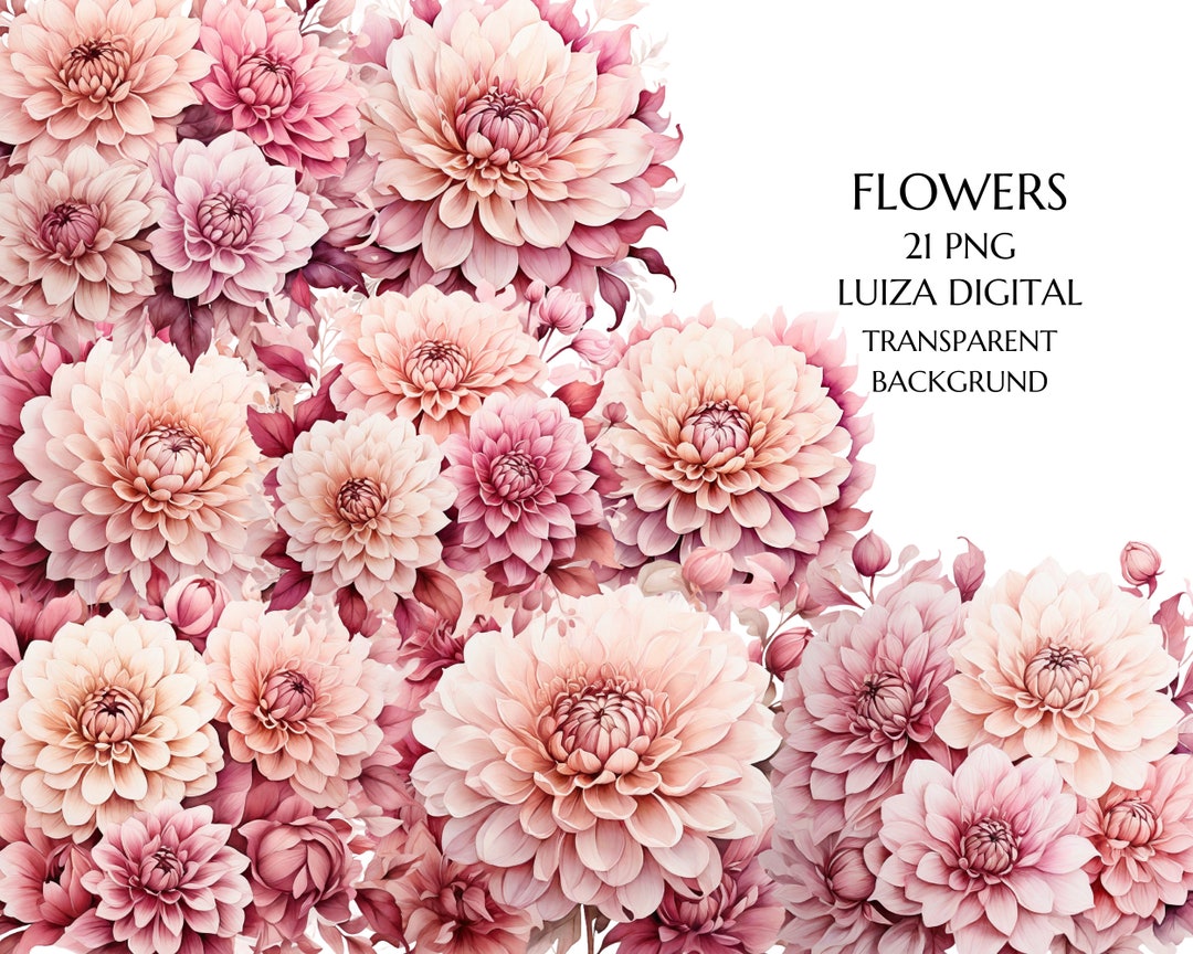 Pink Dahlia PNG, Watercolor Floral Bouquet Clipart, Wedding Flowers ...