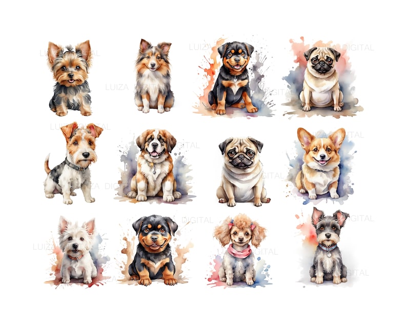 Cute and Funny Dog Clipart Bundle, Watercolor Dogs PNG, Cute Animals ...
