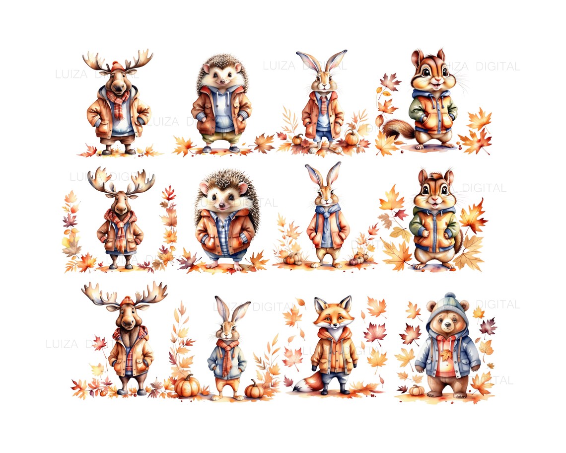 Fall Animal Clipart Bundle, Autum Woodland Animals Clipart, Cute ...