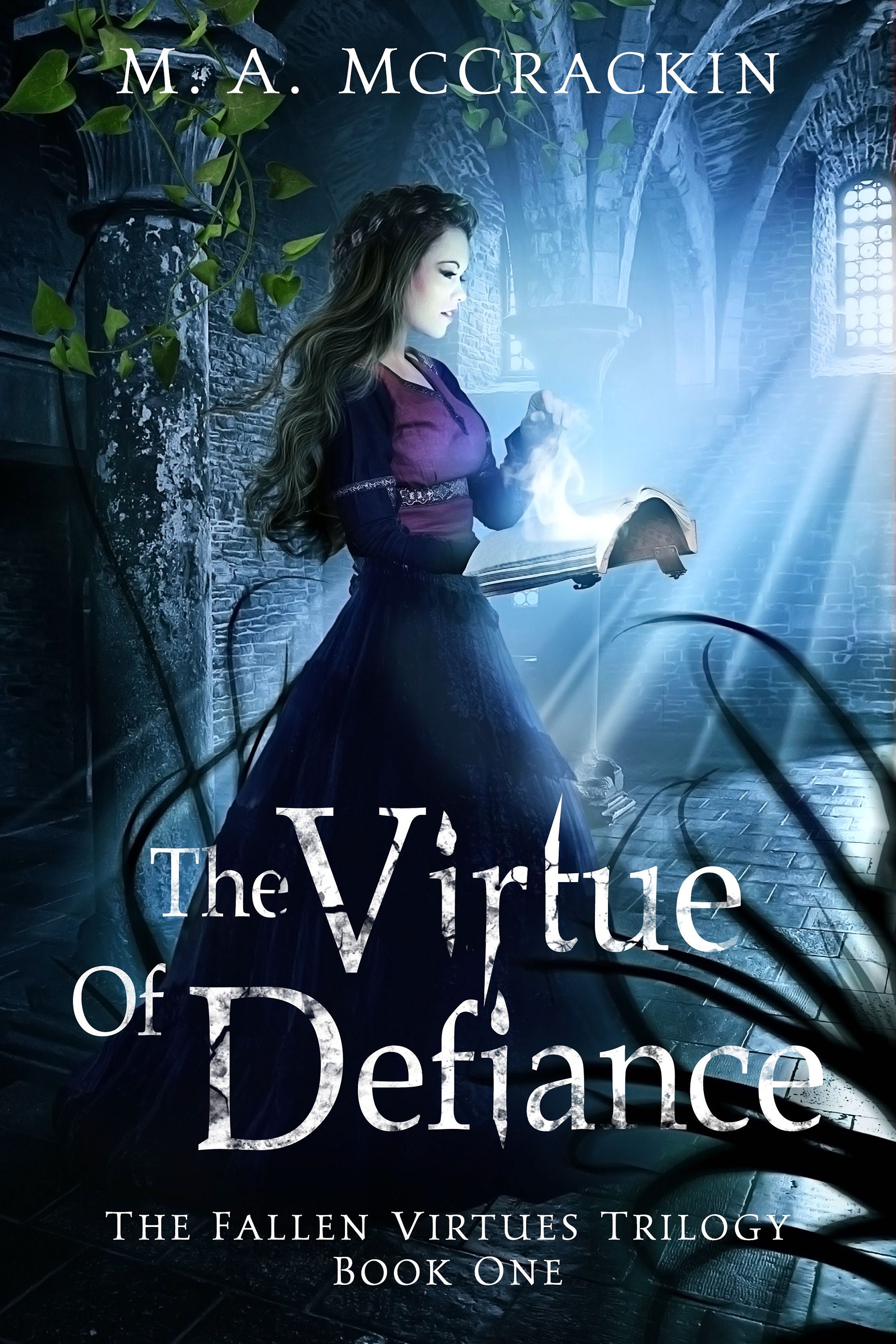 The Virtue of Defiance, Book 1 of the Fallen Virtues Trilogy - Etsy