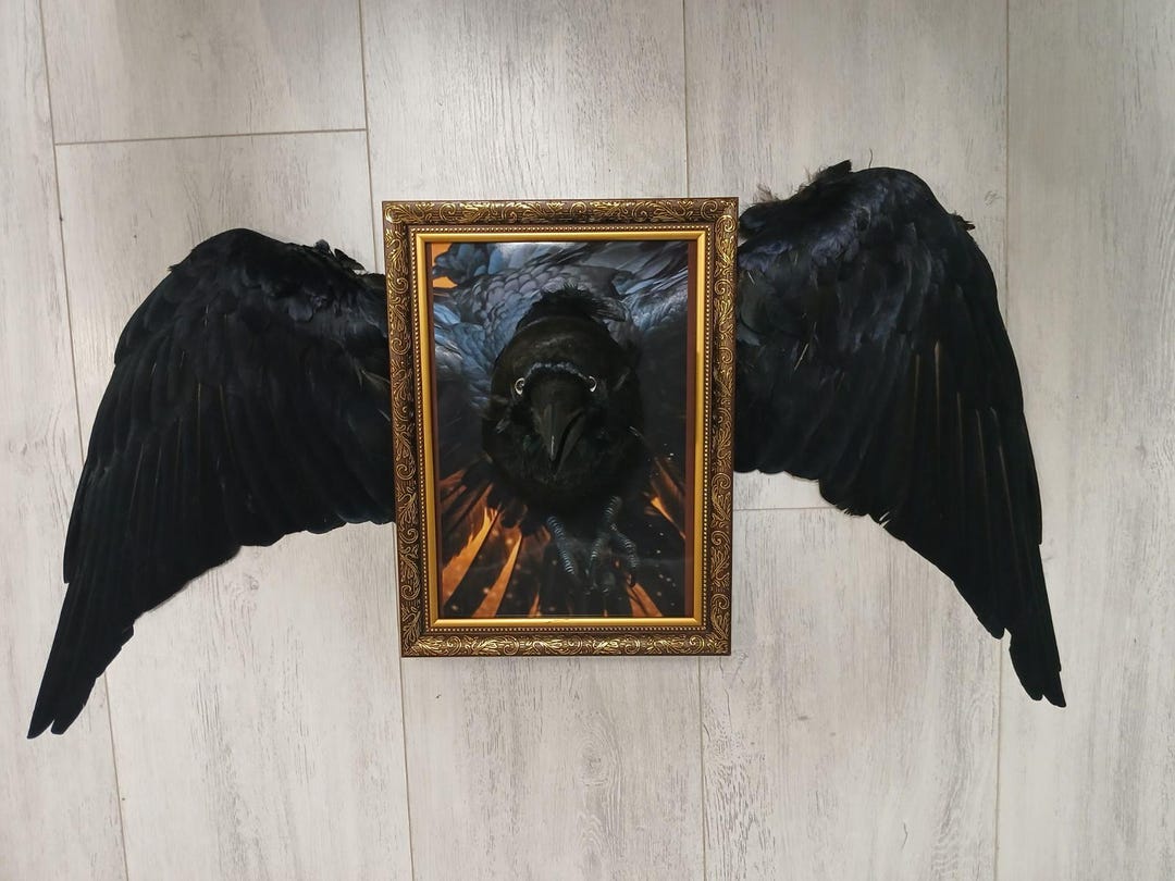 Raven Head, Raven Wings, Taxidermy, Stuffed Raven, Gift, Original Gift ...