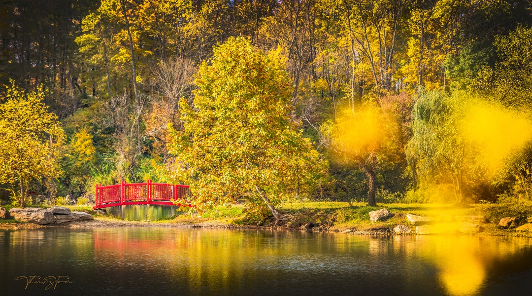 Red Arched Bridge With Fall Foliage at Ariel Foundation Park in Mount ...