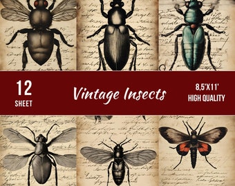 Vintage Insects Junk Journal Pages, Digital Scrapbook Paper Kit ...