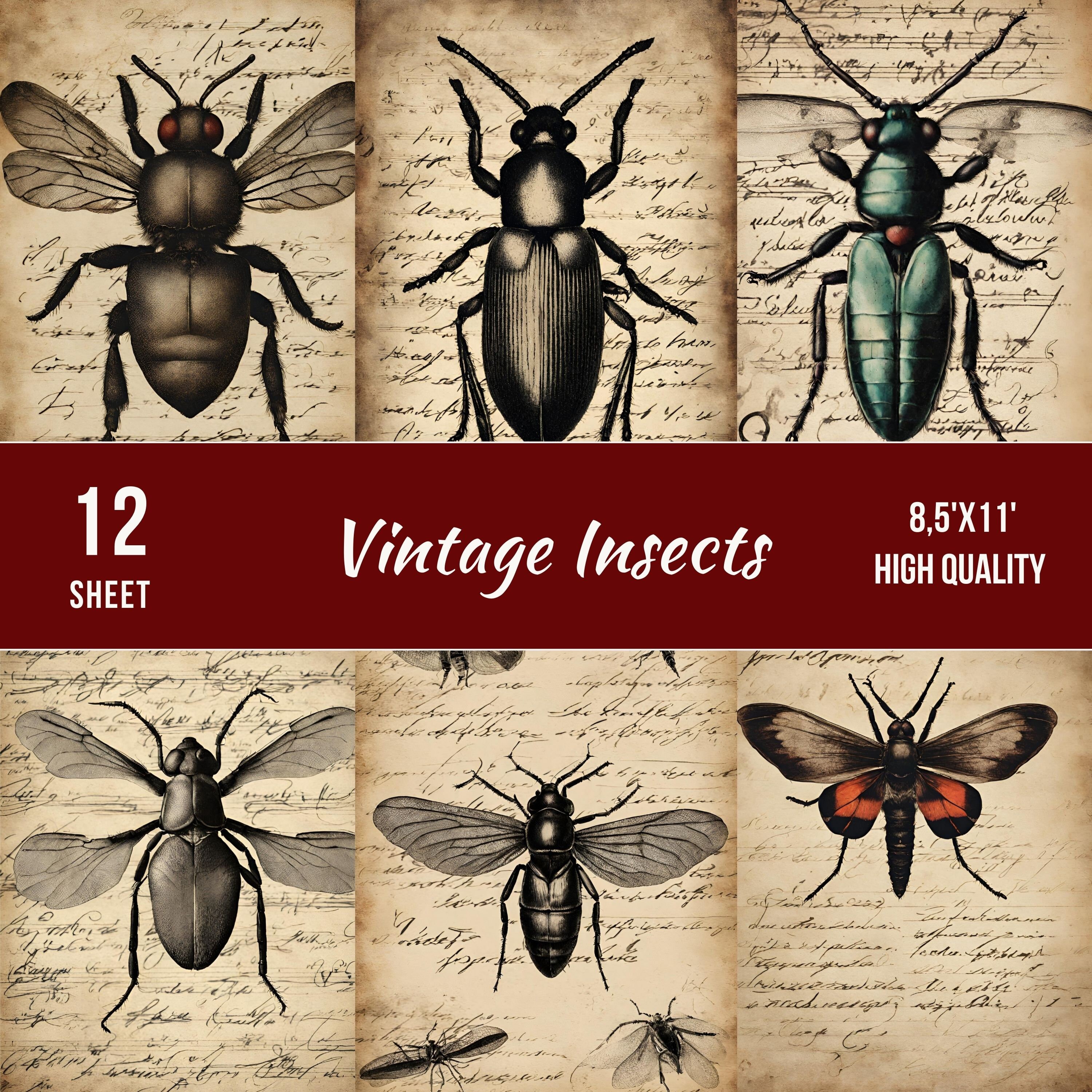 Vintage Insects Digital Pages, Digital Scrapbook Paper Kit, Collage ...