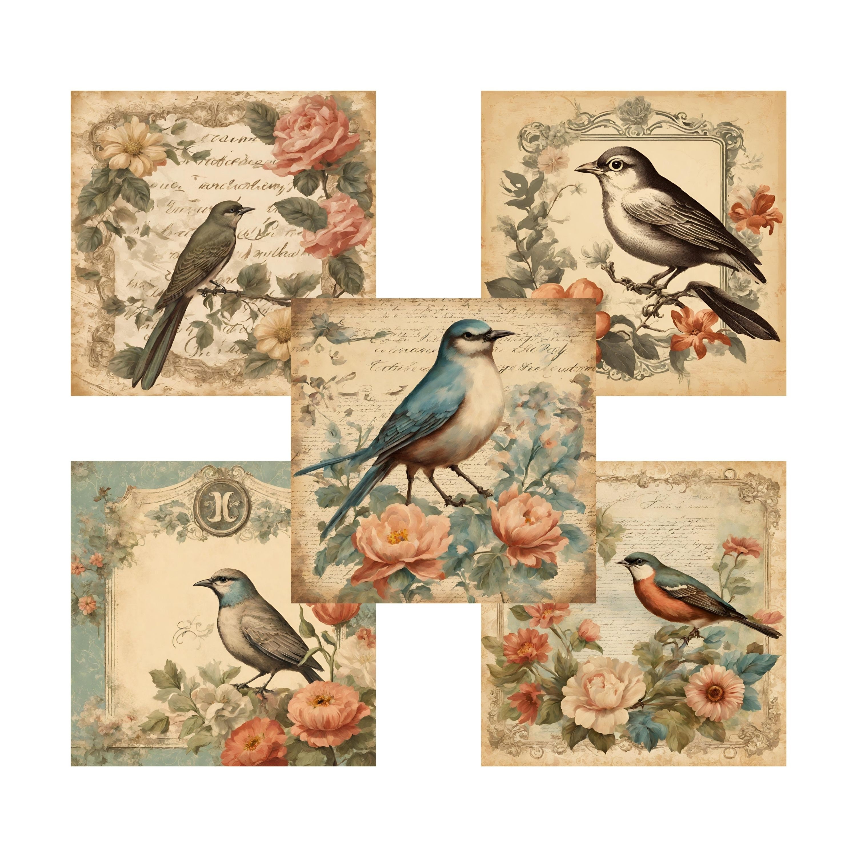 Vintage Birds Pages, Digital Collage Sheet, Bird and Ephemera, Birds ...