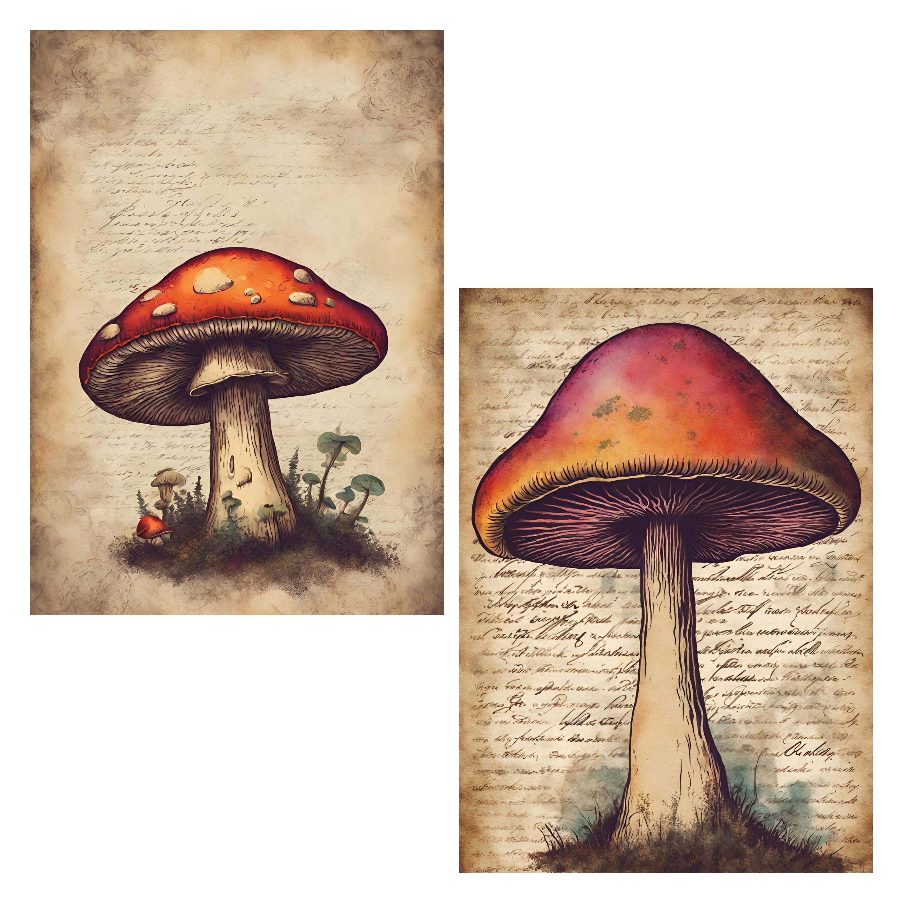 Mushroom Digital Pages, 8 Printable Mushroom Pages, Vintage Stuff ...
