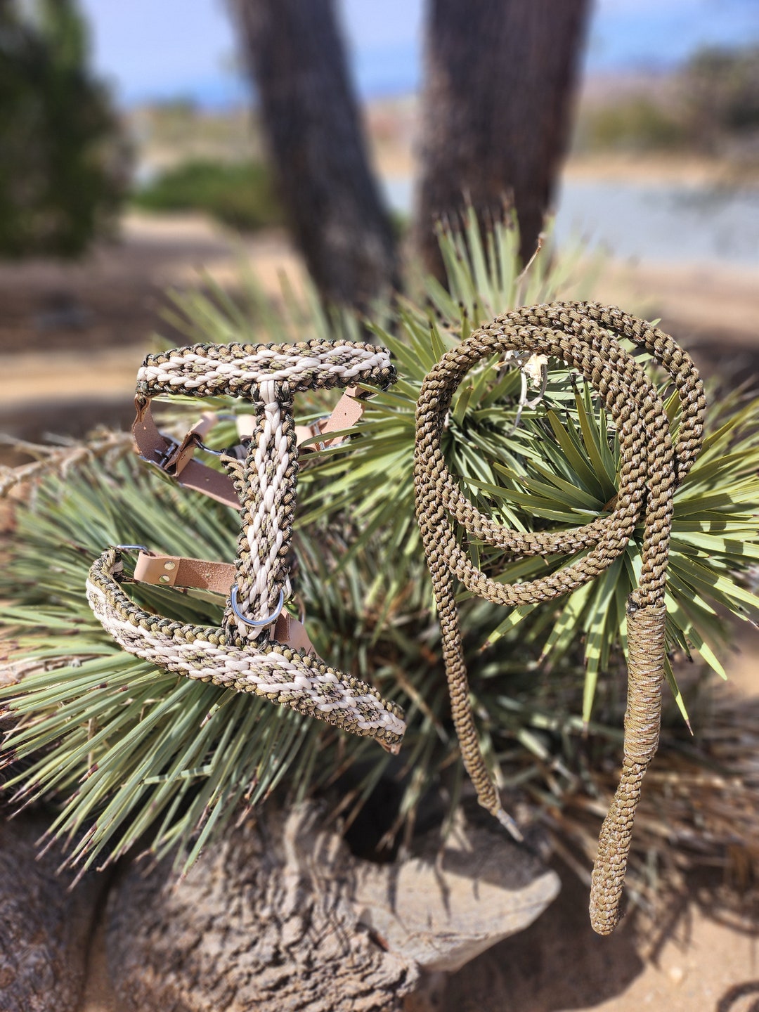 Diamond Back Paracord Dog Harness - Etsy