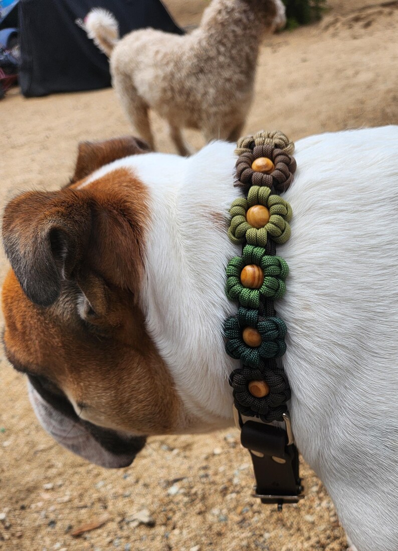 Flower Paracord Dog Collar - Etsy