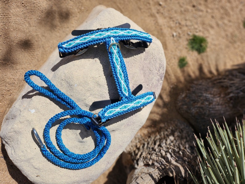 Blue and White Paracord Dog Harness - Etsy