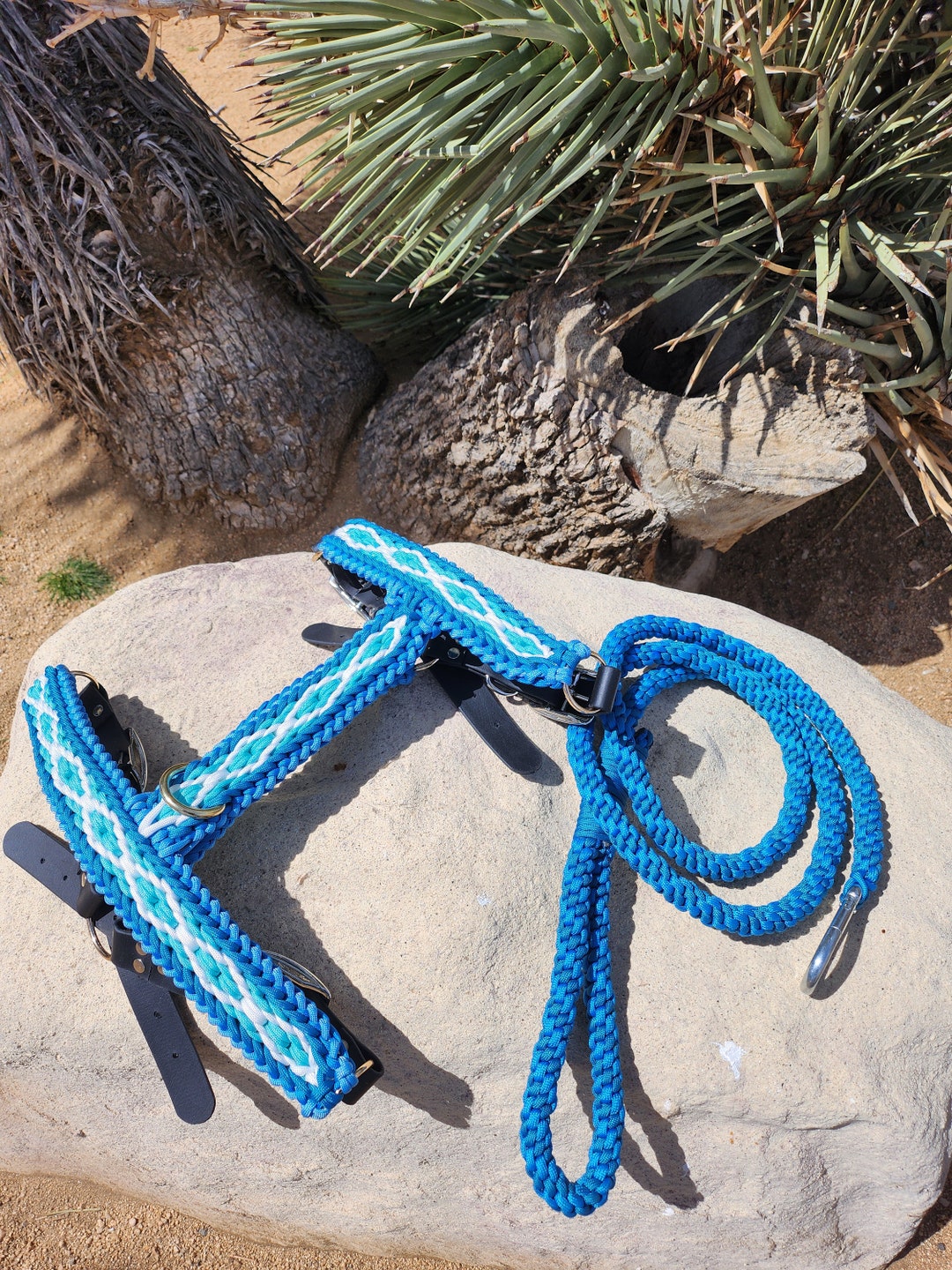 Blue and White Paracord Dog Harness and Leash Set - Etsy