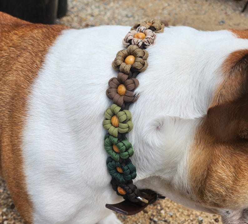 Flower Paracord Dog Collar - Etsy