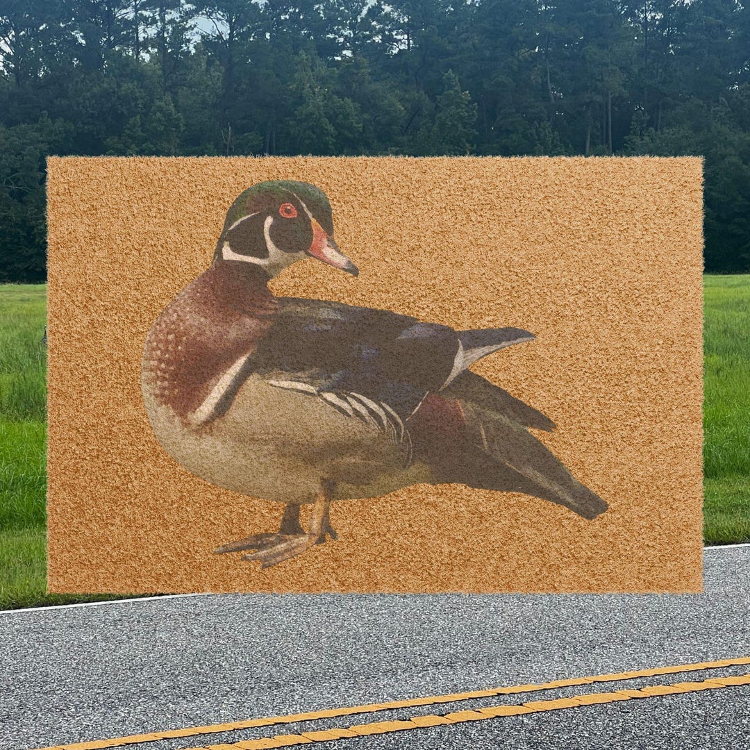 Doormat, Wood Duck Welcome Mat, Entryway Rug, Outdoor Decor ...
