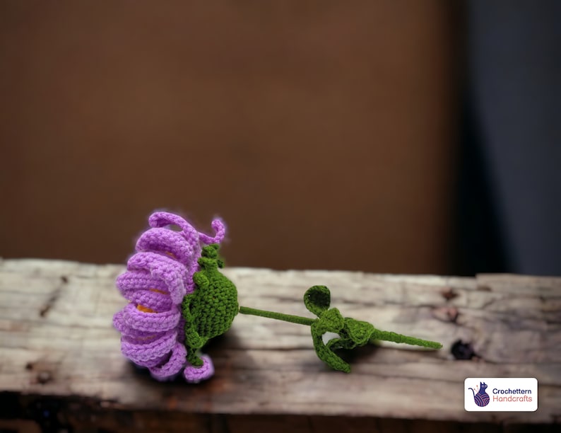 Reversible Aster Fairy Pattern, Amigurumi Pattern, Tutorial PDF With ...