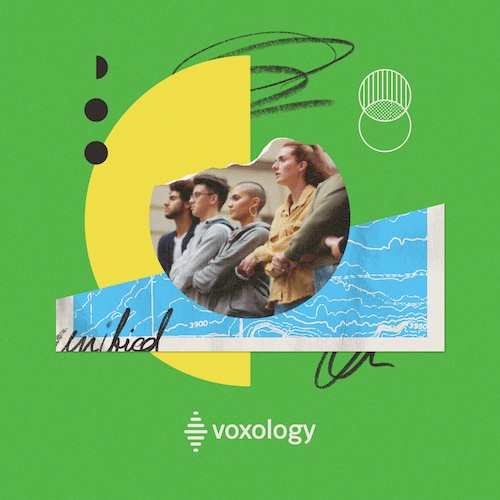 VOXOLOGY - Etsy