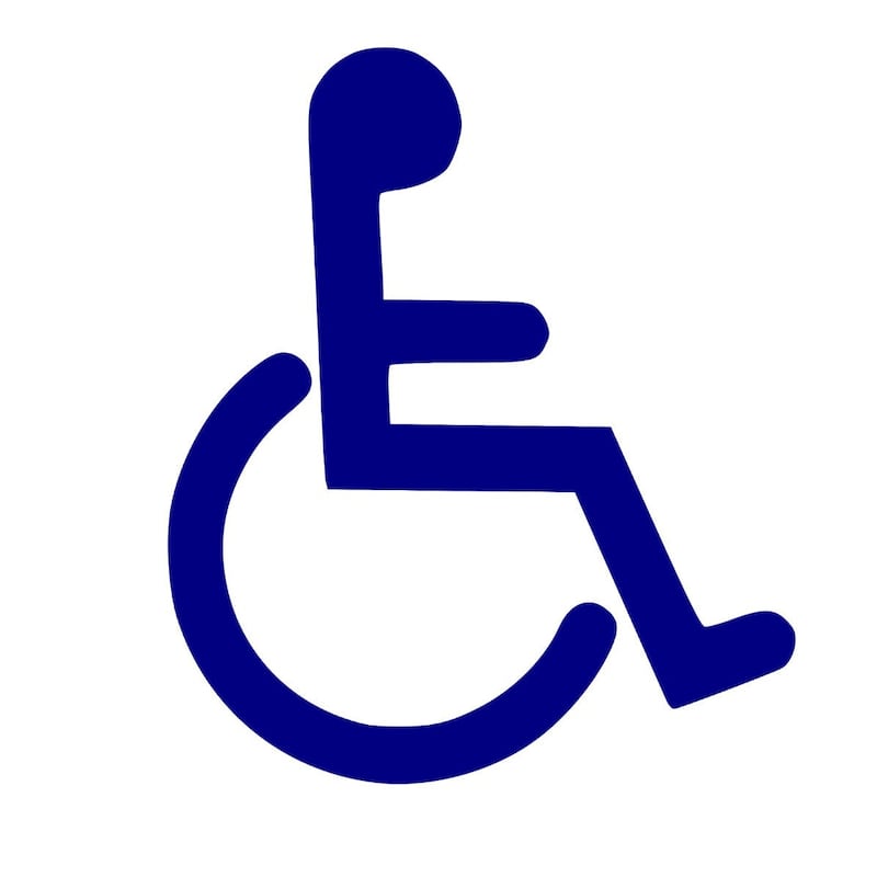 Funny Van Sticker Disabled - Etsy UK