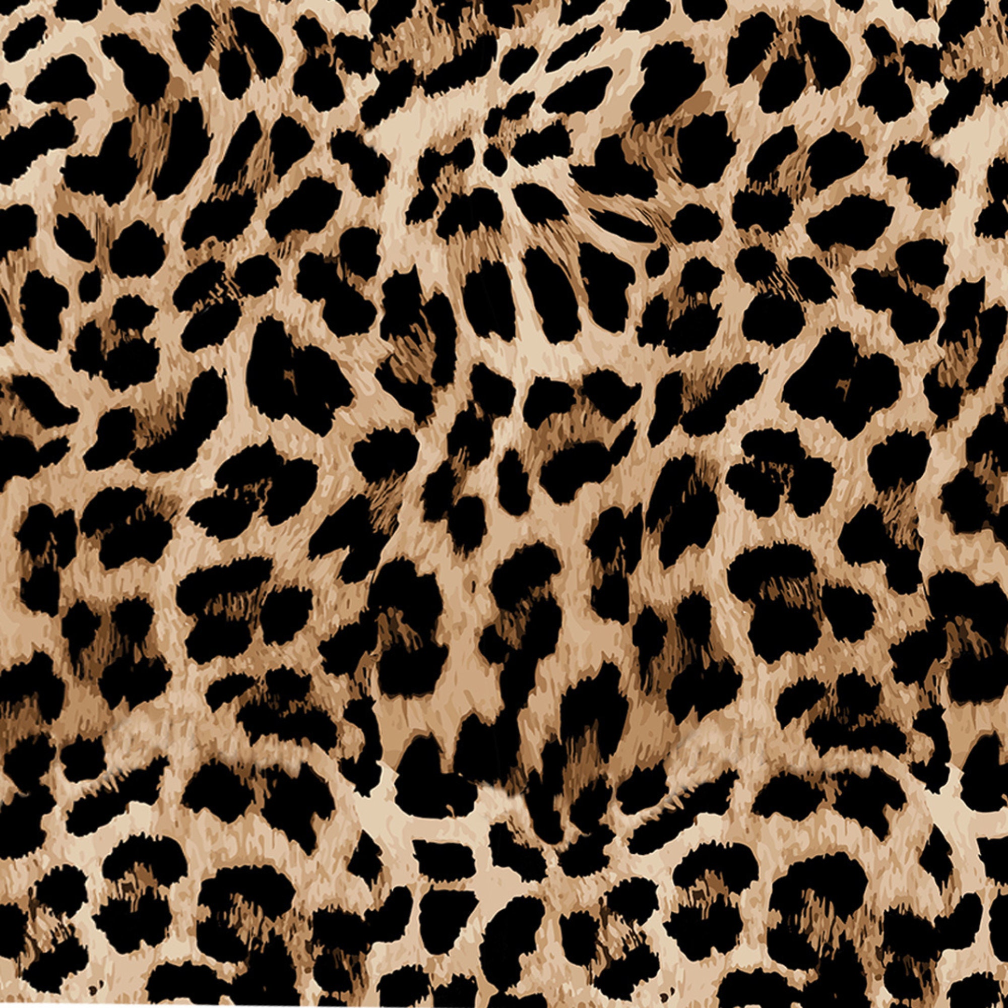 Leopard Skin Print Wallpaper, Leopard Animal Wall Decor, Black Leopard ...