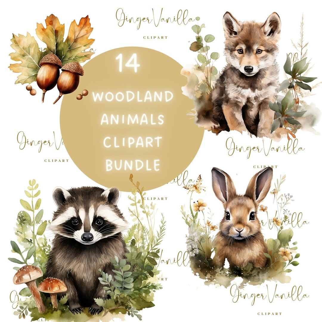 Woodland Animal Clipart Woodland Creatures Clipart Forest - Etsy