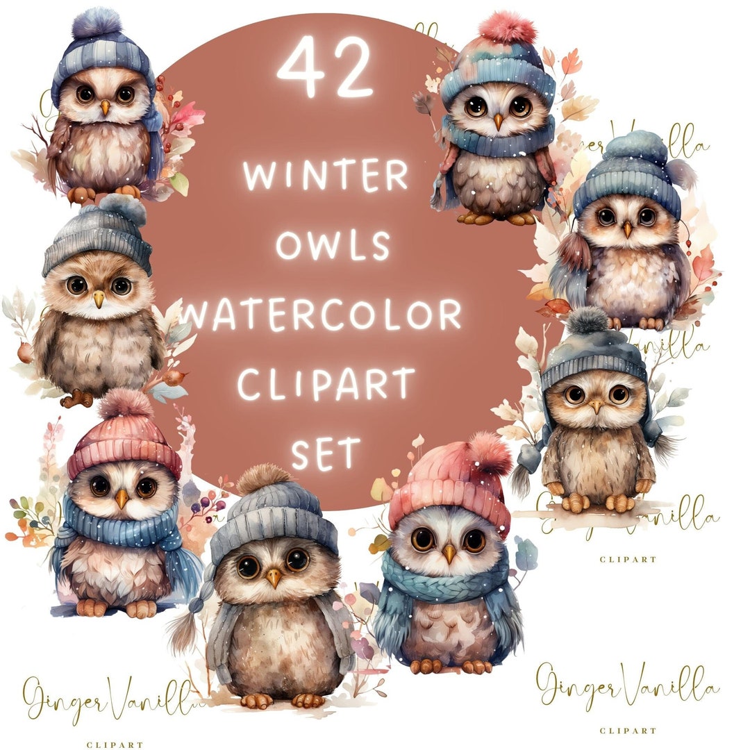 Cute Owl Clipart Winter Owl Clipart Watercolor Bird Clip - Etsy