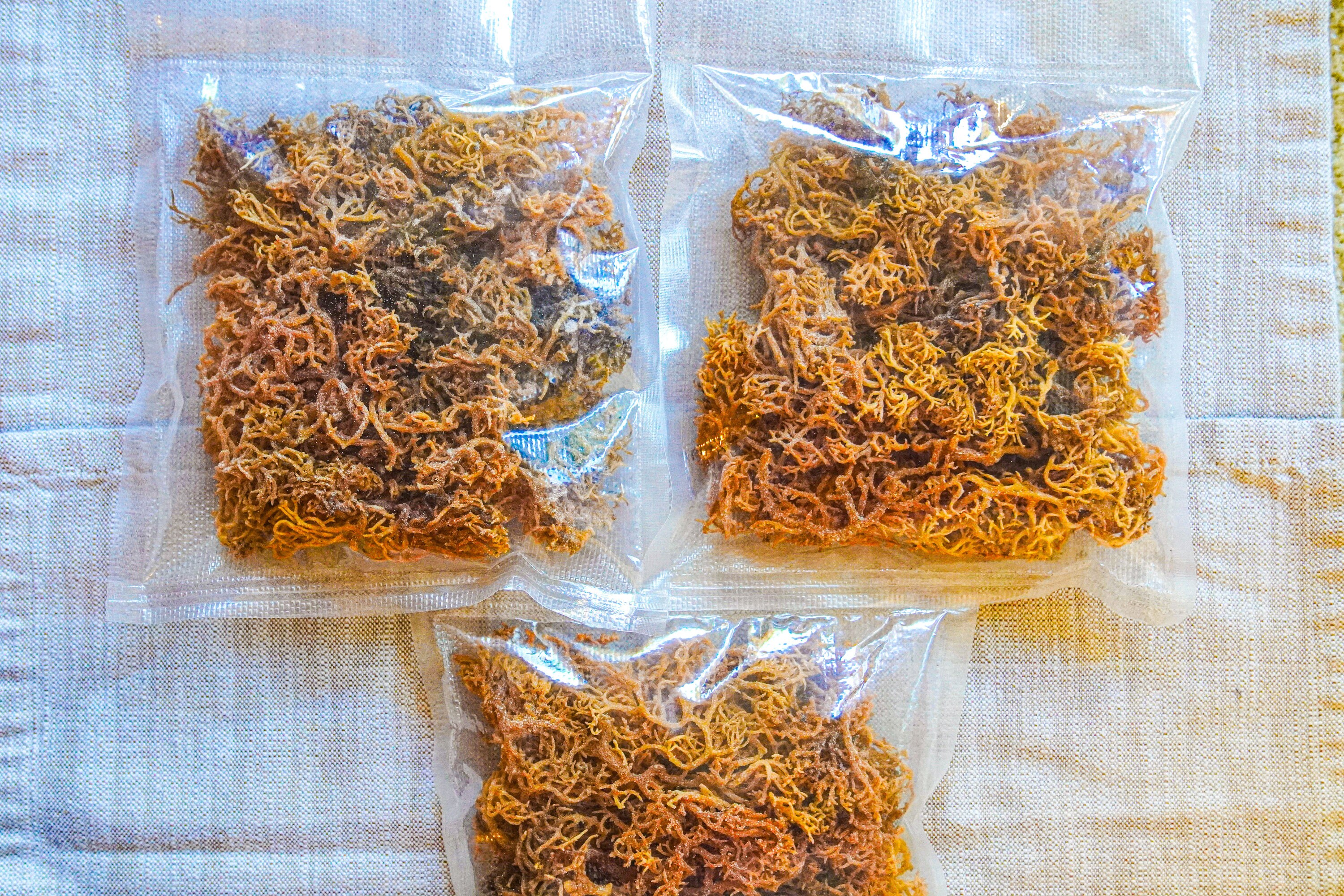 Authentic Philippine Sea Moss (euchema Cottonii) - 120 Grams - Etsy