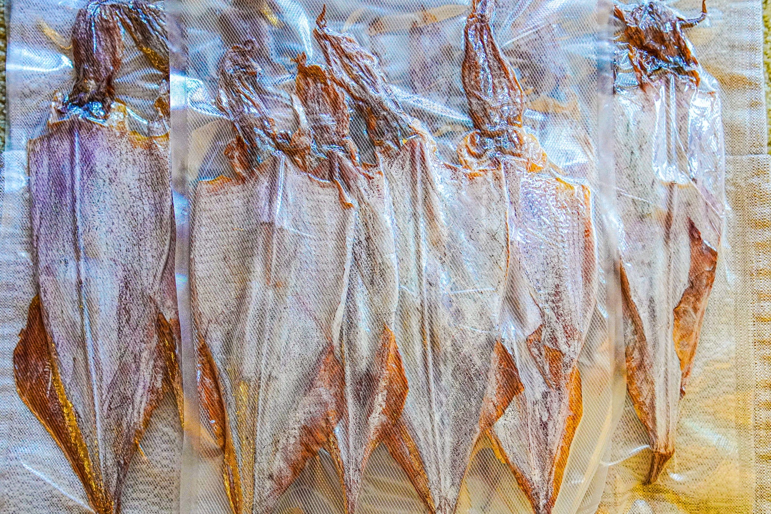 Dried Squid Large 150 Grams - Etsy