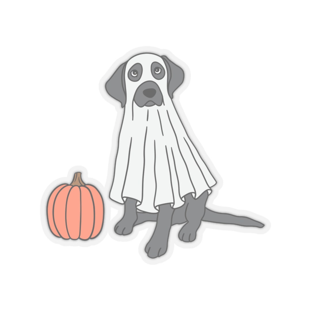 Cute Black Lab Dog Wearing Ghost Halloween Costume With a - Etsy