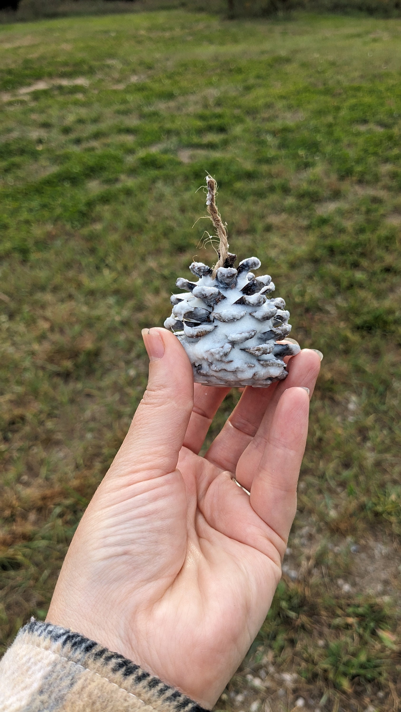 Pinecone Fire Starters Unscented Toxin Free Soy Wax Rustic Decor Christmas T Housewarming