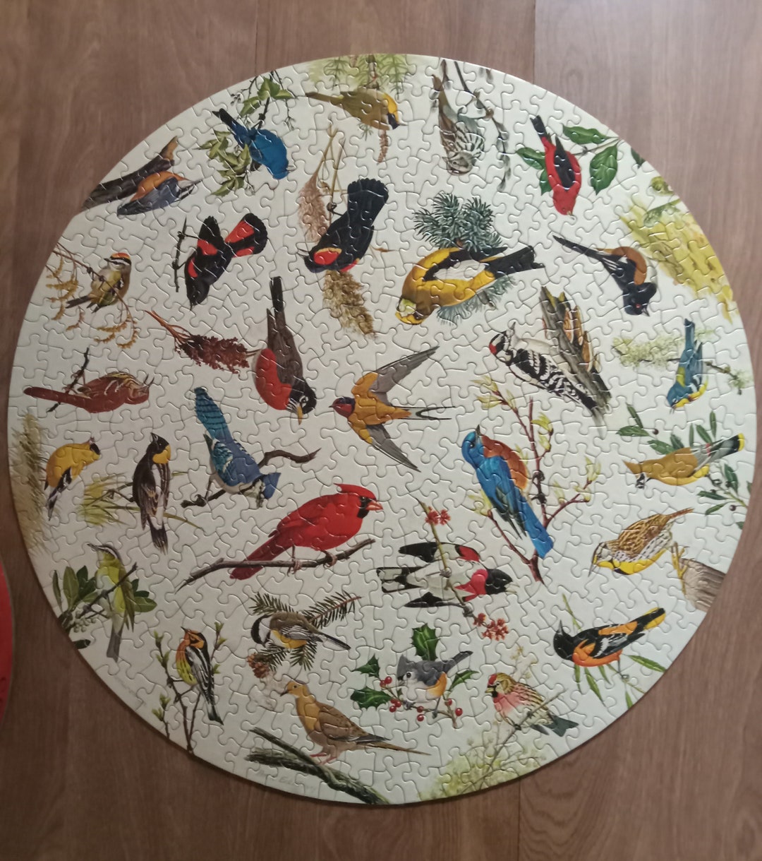 Vintage Springbok Circular Jigsaw Puzzle Song Birds - Etsy