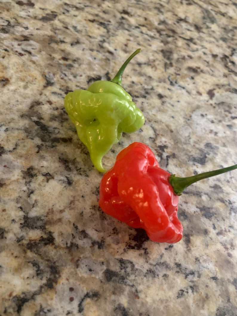 Aji Dulce , 15 Seeds - Etsy