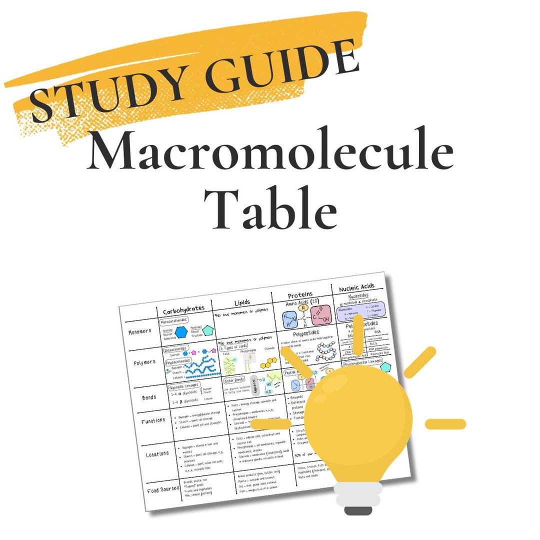Macromolecule Tracking Table_study Guide PDF - Etsy