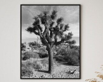 Joshua Tree Art Sculpture - Etsy
