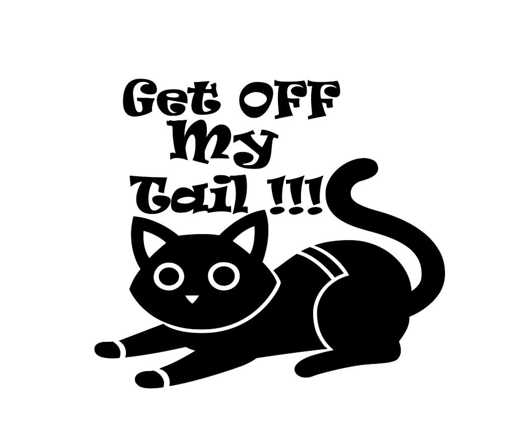 Funny Cat Decal Sticker, Cars Sticker Cat, Bumper Cat Decal Sticker ...
