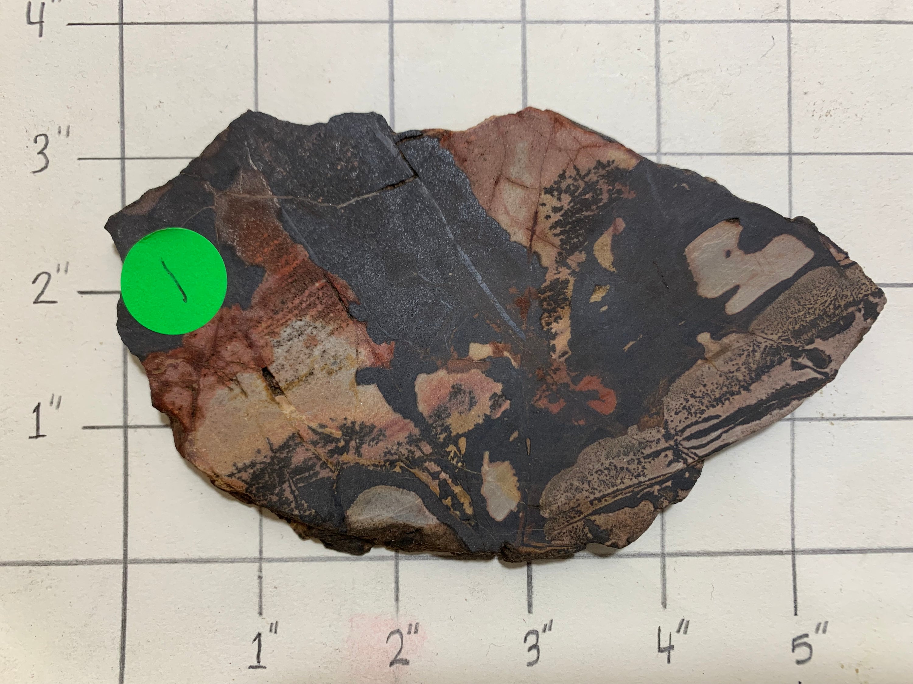 Indian Paint Stone Rough Slab - Etsy