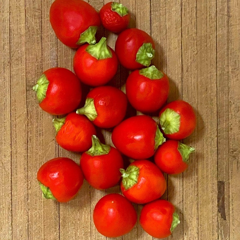 Rare Pepper Seeds - Etsy