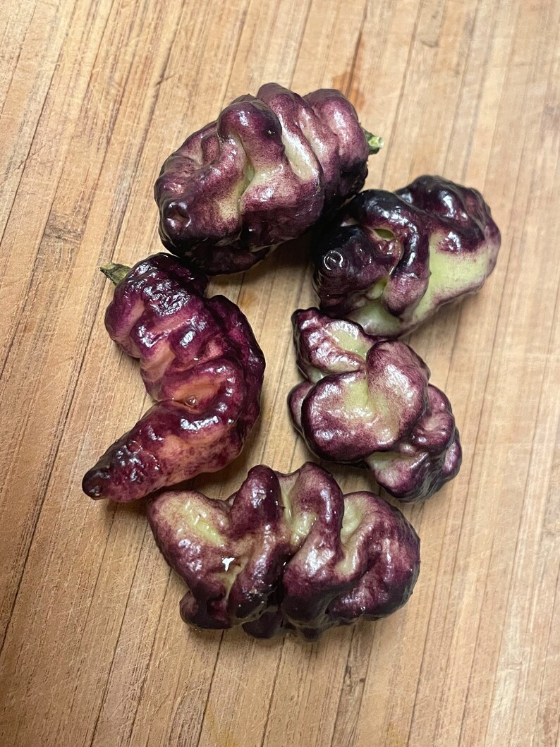 Thors Thunderbolt Hot Pepper Seeds - Etsy