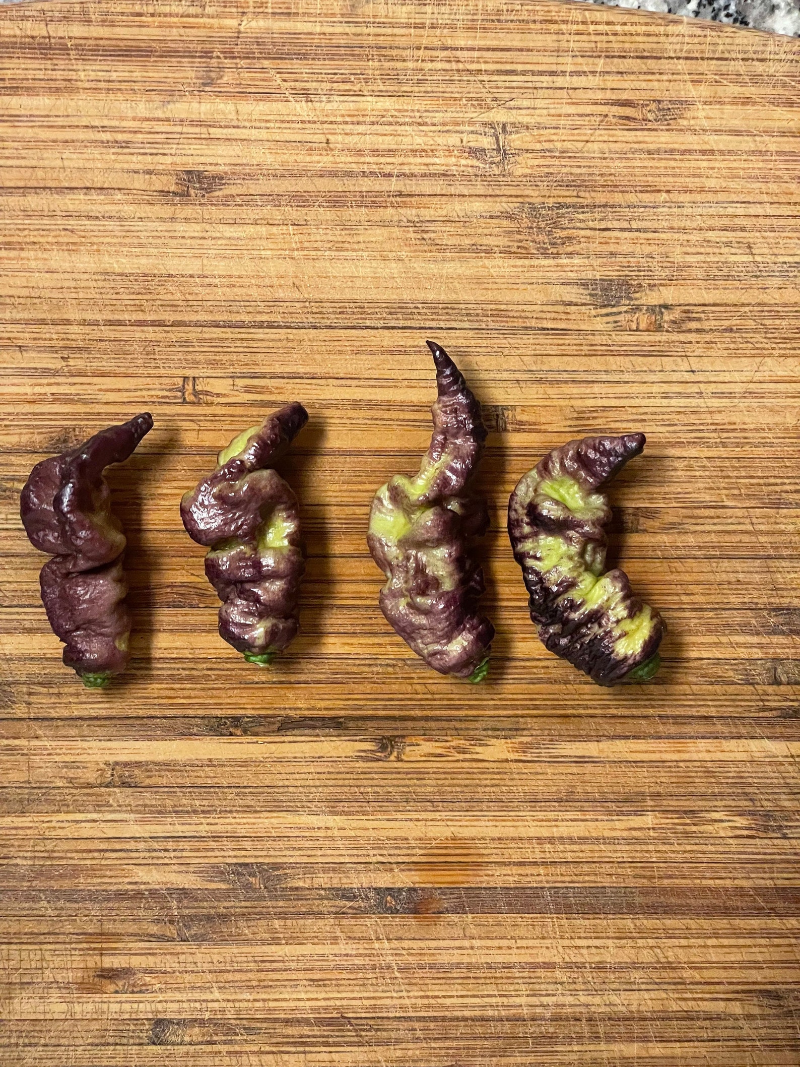 Hybrid Hot Pepper Seeds - Rare Pepper Seeds - Gift for Gardener ...
