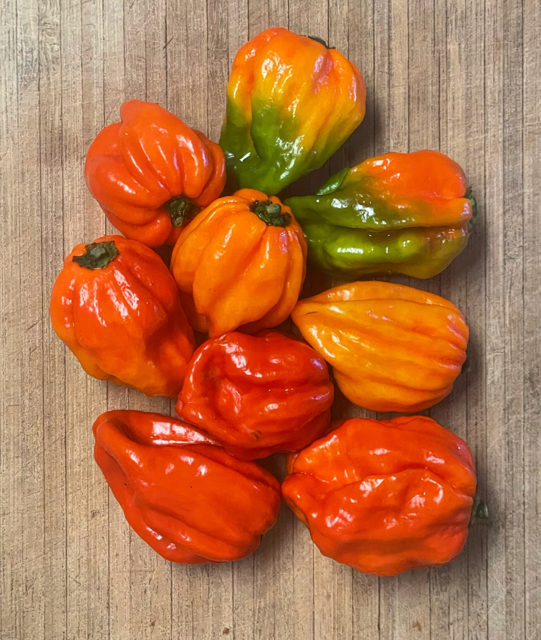 Hot Pepper Seeds Rare Chili Pepper Garden Gift Idea Scorpanero Scorpion ...