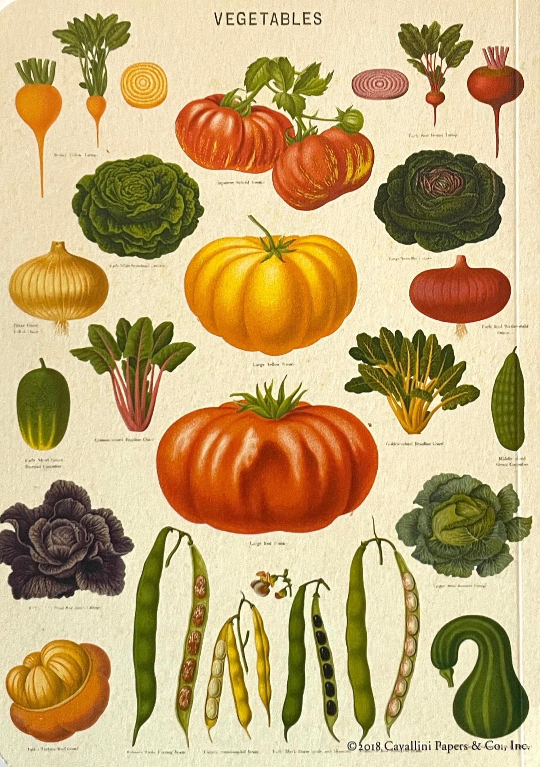Vegetable Theme Notebook Blank Journal - Etsy